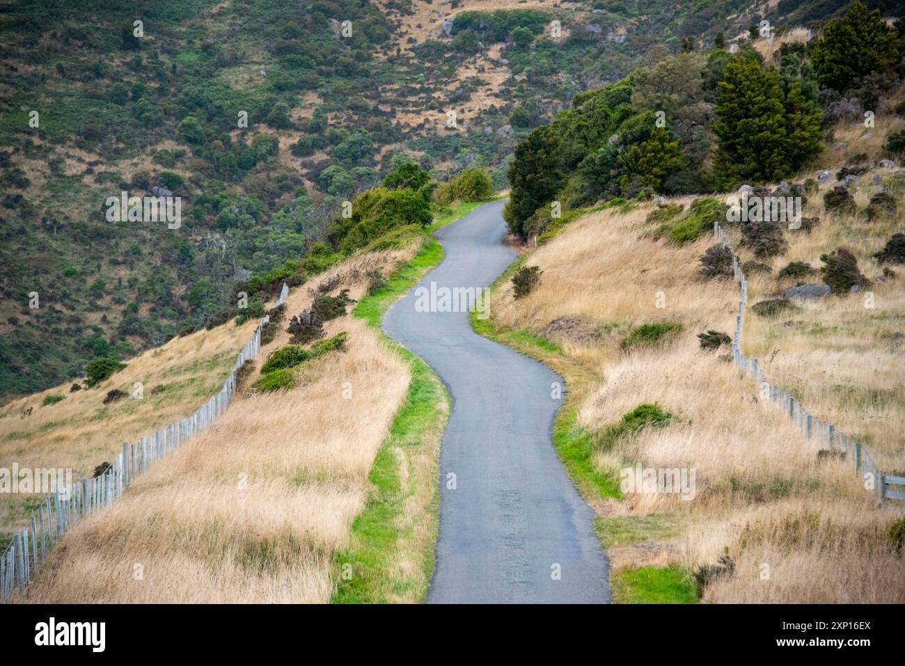 Historic akaroa lighthouse hi-res stock photography and images - Alamy