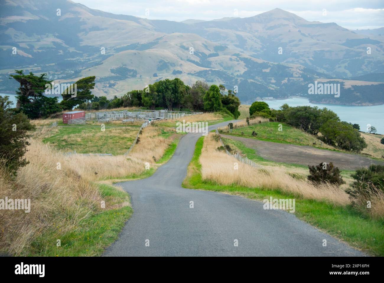 Lighthouse Road in Akaroa - New Zealand Stock Photo - Alamy
