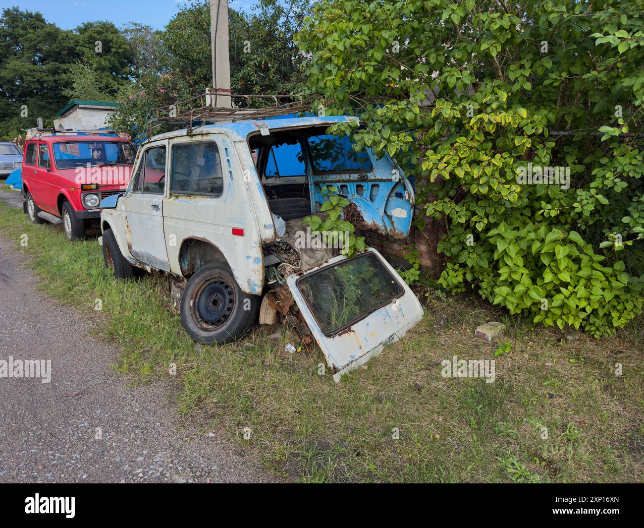 Old, rusty car abandoned near bushes with other vehicles in background ...