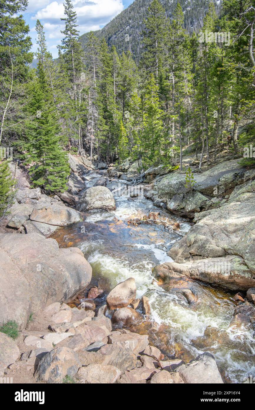 Fall River below Chasm Falls from the lower view point, Rocky Mountain ...