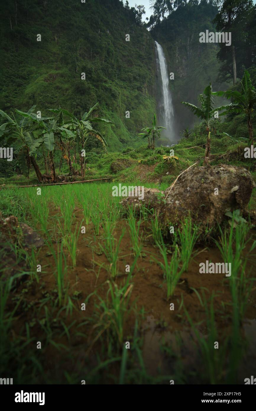 Citambur waterfall, cianjur Indonesia Stock Photo - Alamy
