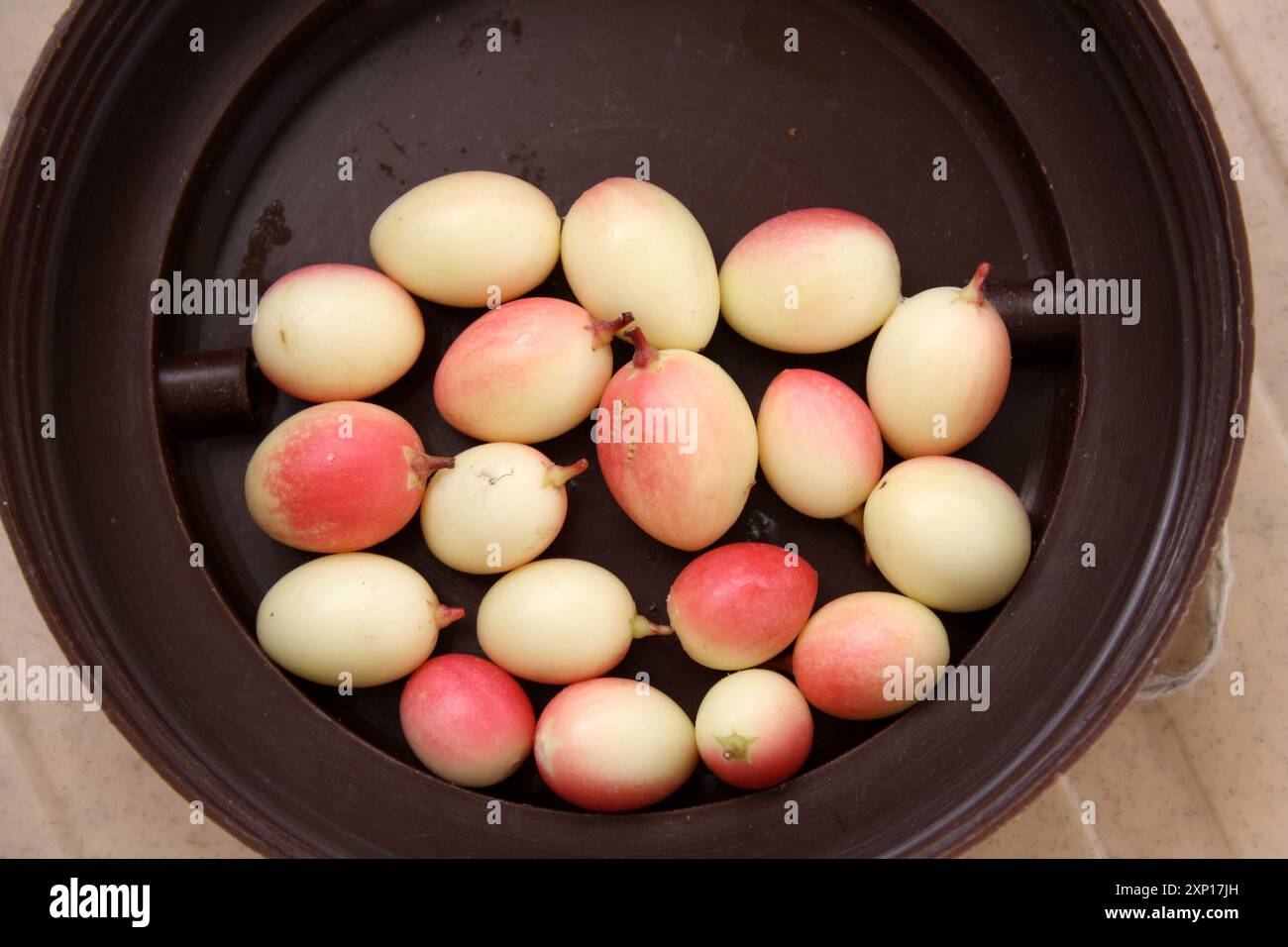 Bengal currant (Carissa carandas) fruits in a bowl : (pix Sanjiv Shukla ...