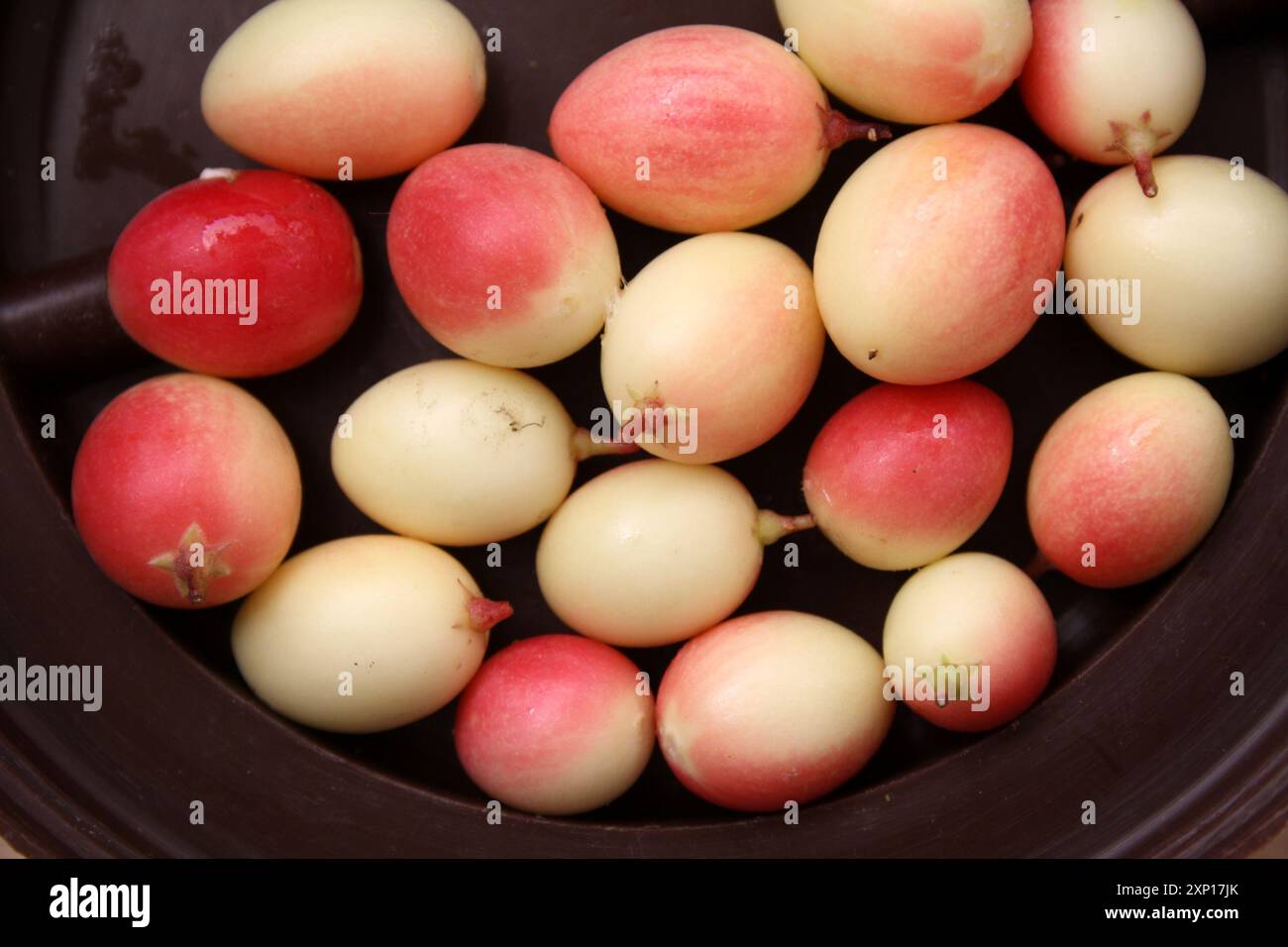 Bengal currant (Carissa carandas) fruits in a bowl : (pix Sanjiv Shukla ...