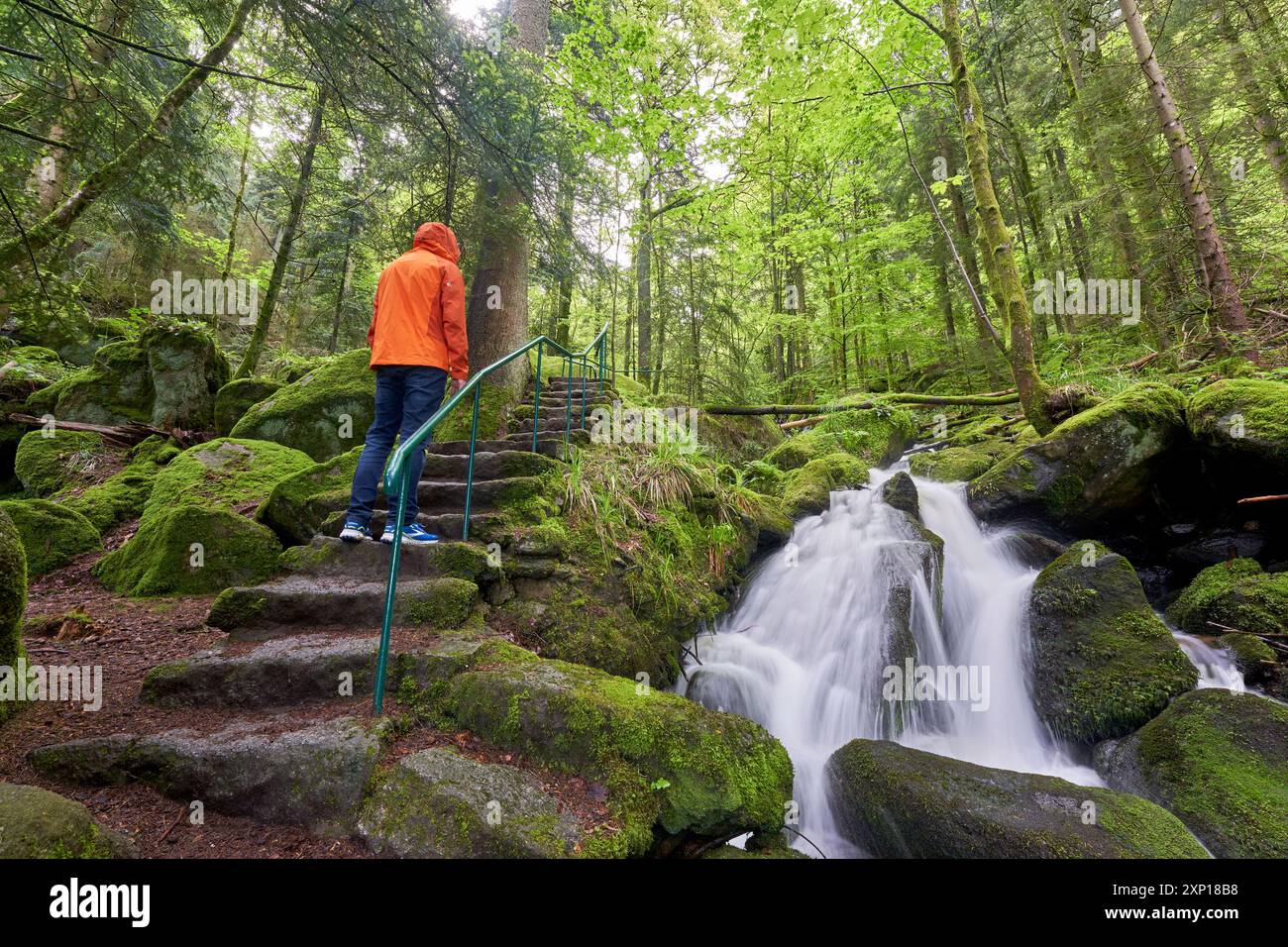 Waterfall cascades over mossy rocks, flanked by verdant trees. A hiker ...