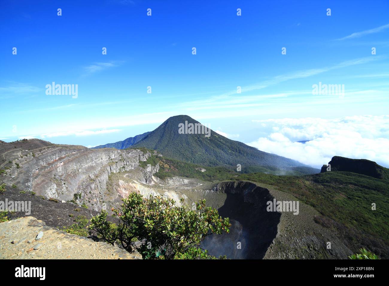 Gunung gede pangrango national park hi-res stock photography and images ...