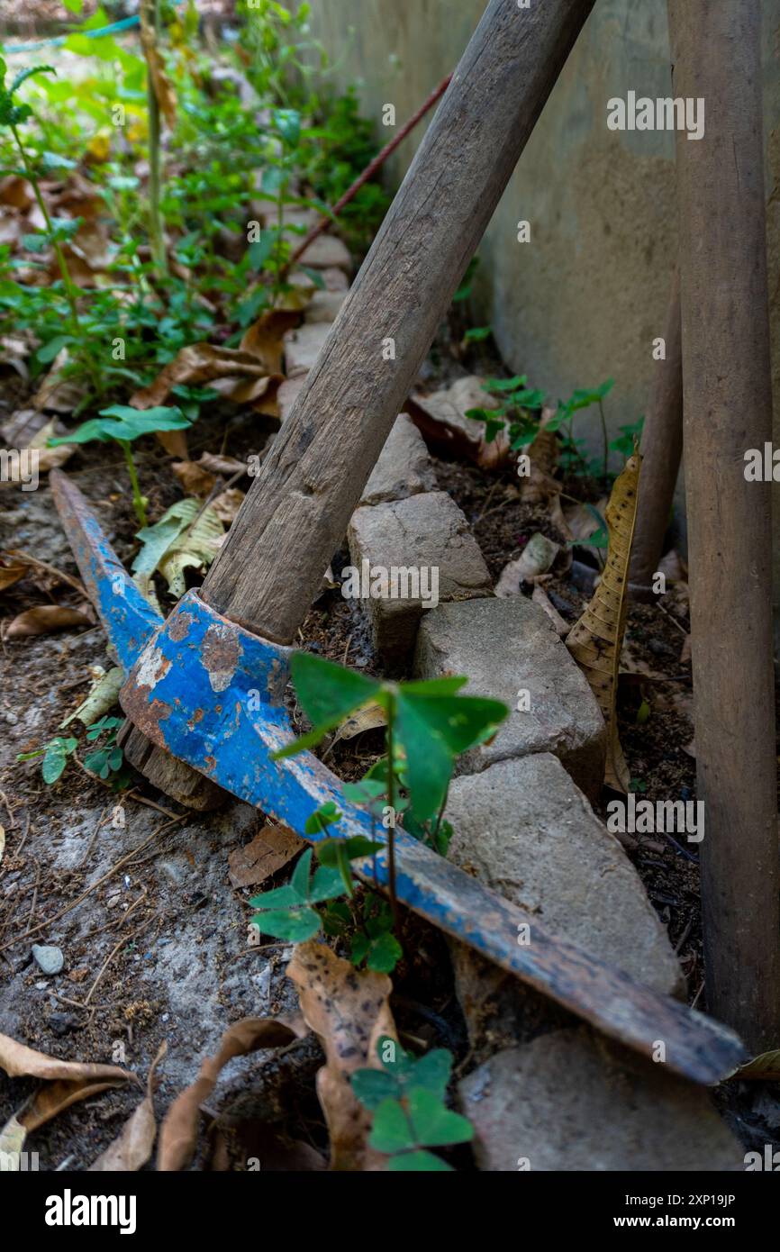 Indian agriculture practice hi-res stock photography and images - Alamy