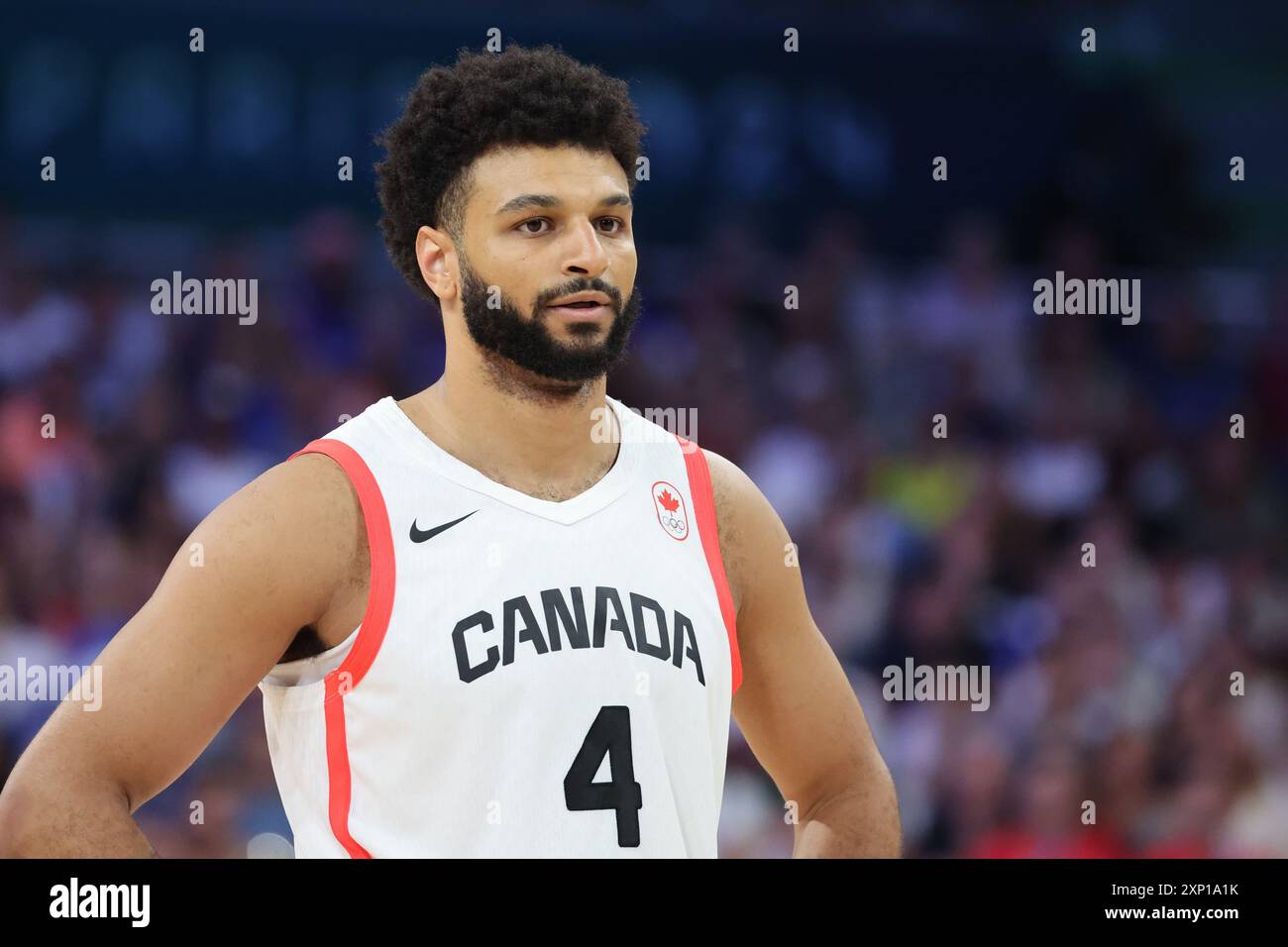 Jamal murray hi-res stock photography and images - Alamy