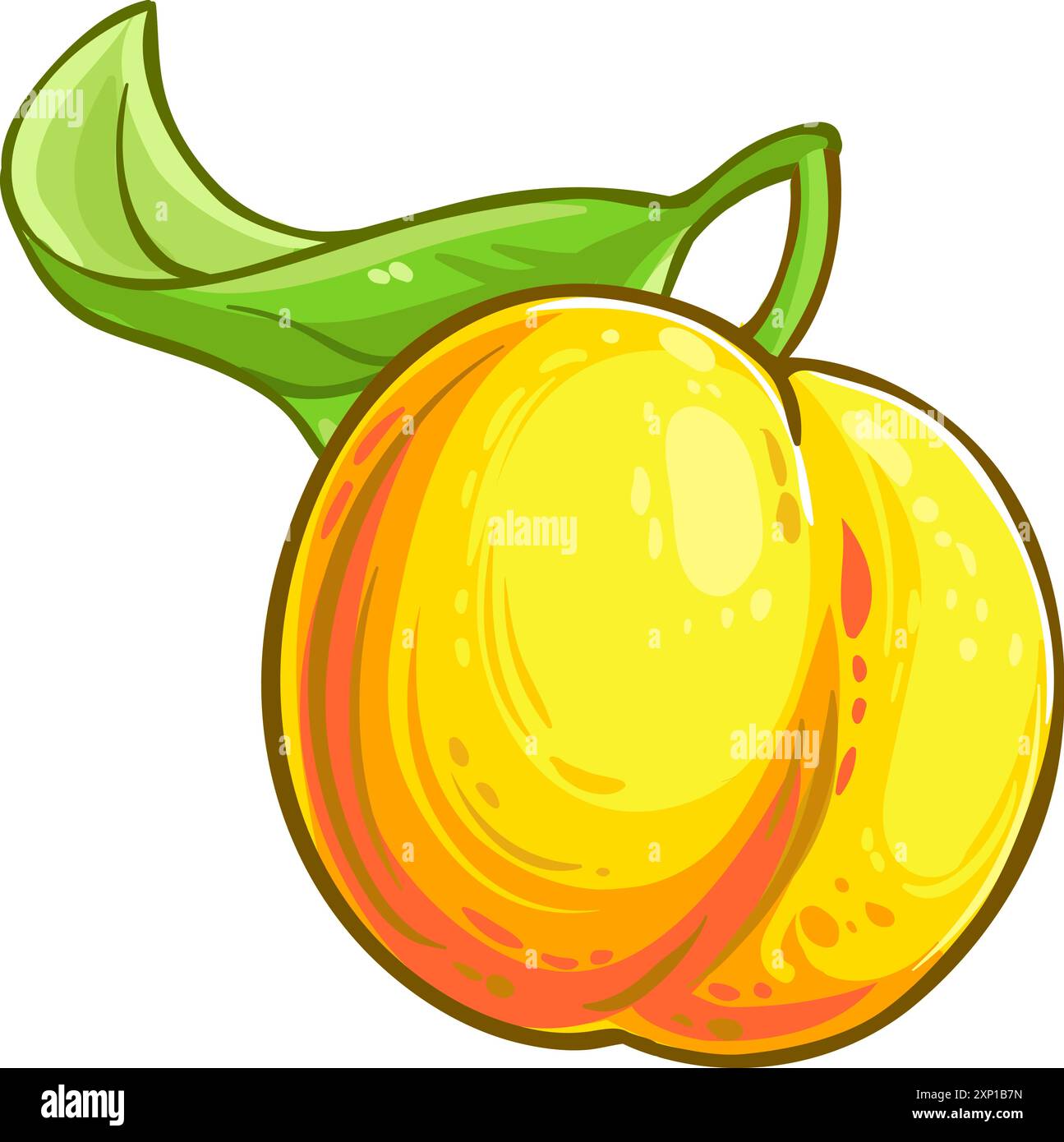 Peach Fruit Colored Detailed Illustration Stock Vector Image & Art - Alamy