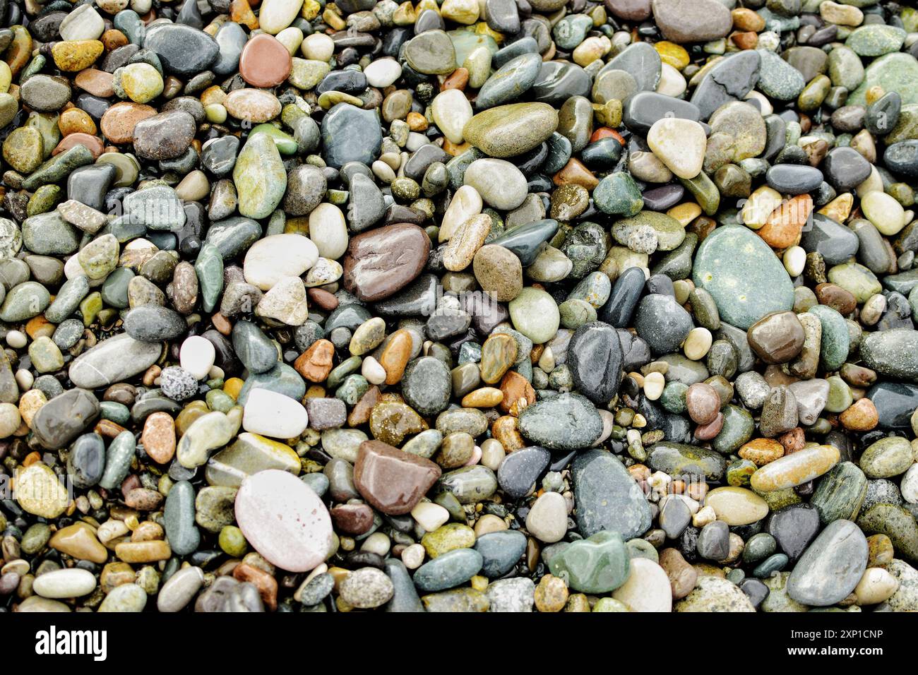 Color pebbles on the beach. Wet stones background Stock Photo - Alamy