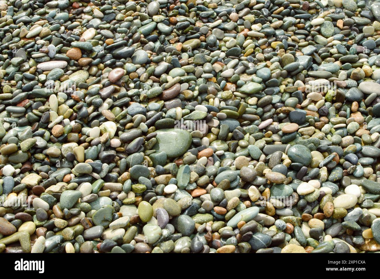 Color pebbles on the beach. Wet stones background Stock Photo - Alamy