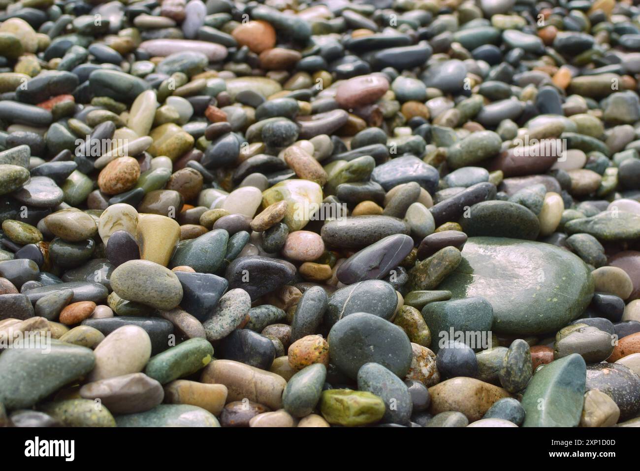 Color pebbles on the beach. Wet stones background Stock Photo - Alamy
