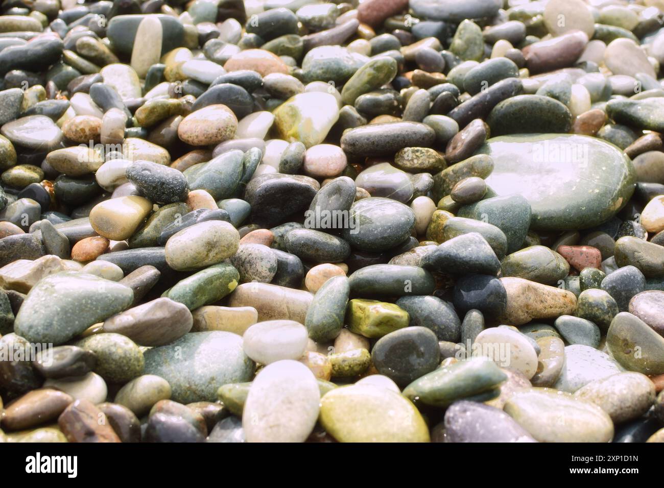 Wet colorful stones hi-res stock photography and images - Alamy