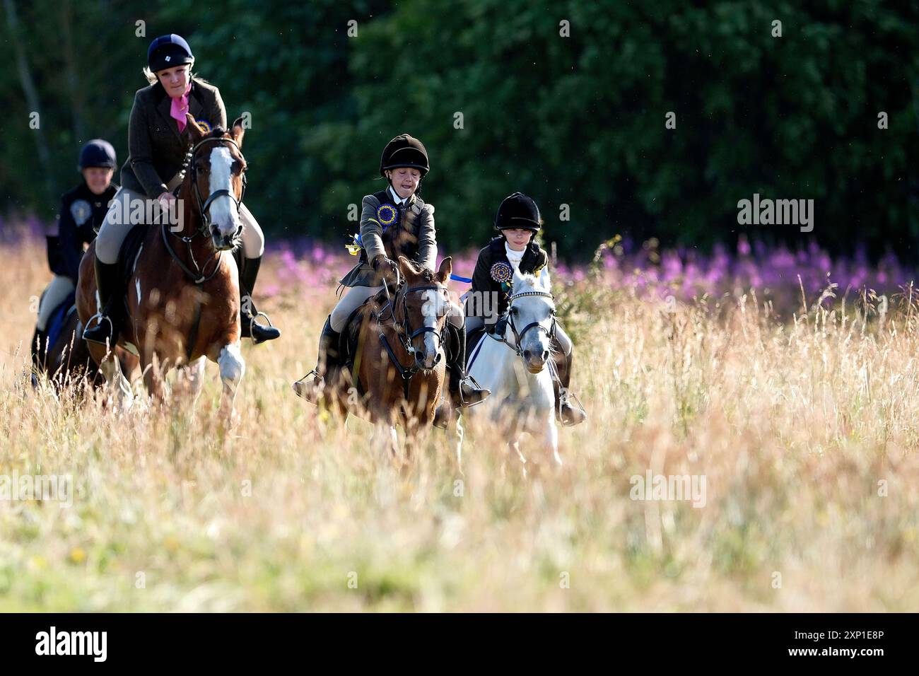 Mounted horseman riding left hi-res stock photography and images - Alamy