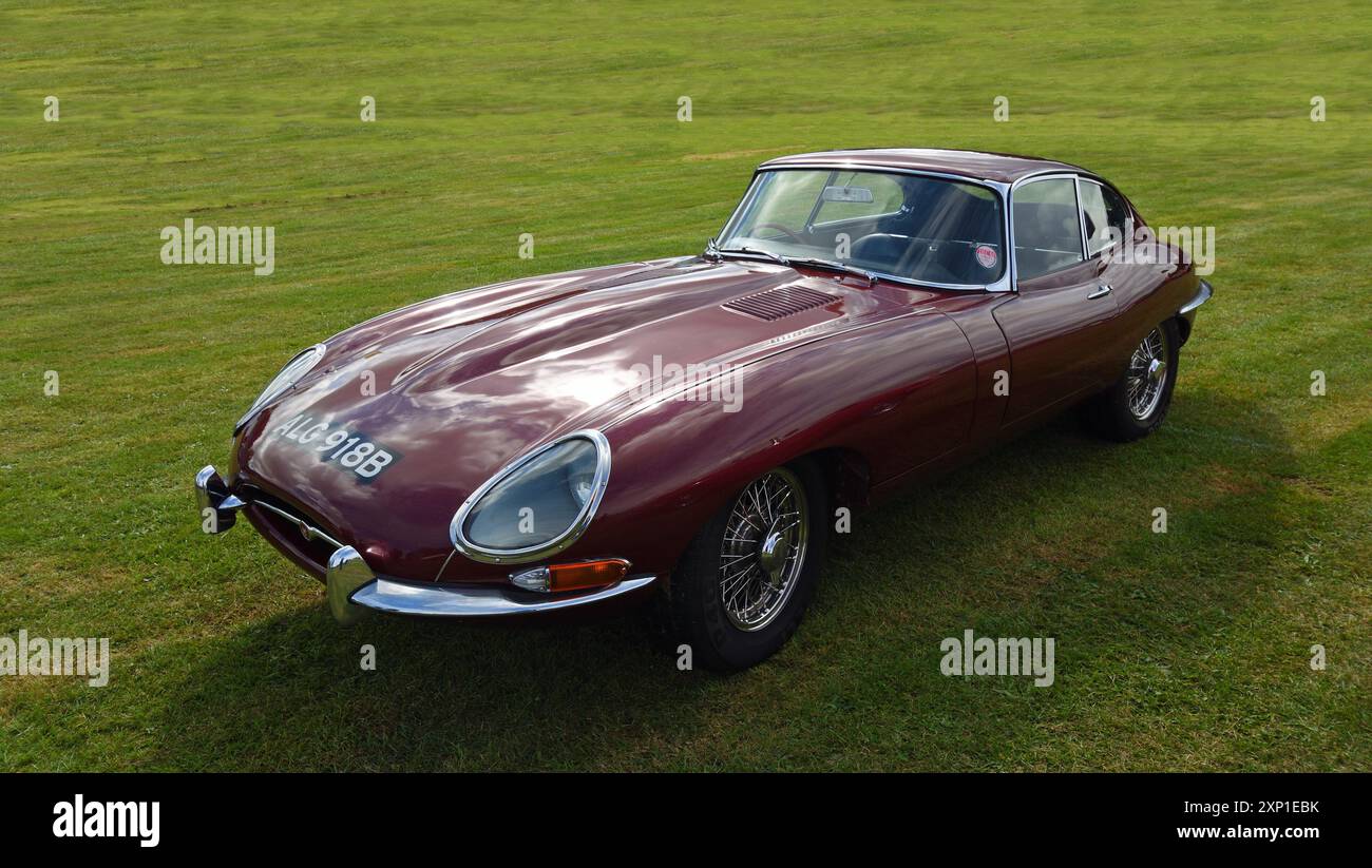 Classic Dark Red Jaguar E - Type Car parked on grass Stock Photo - Alamy