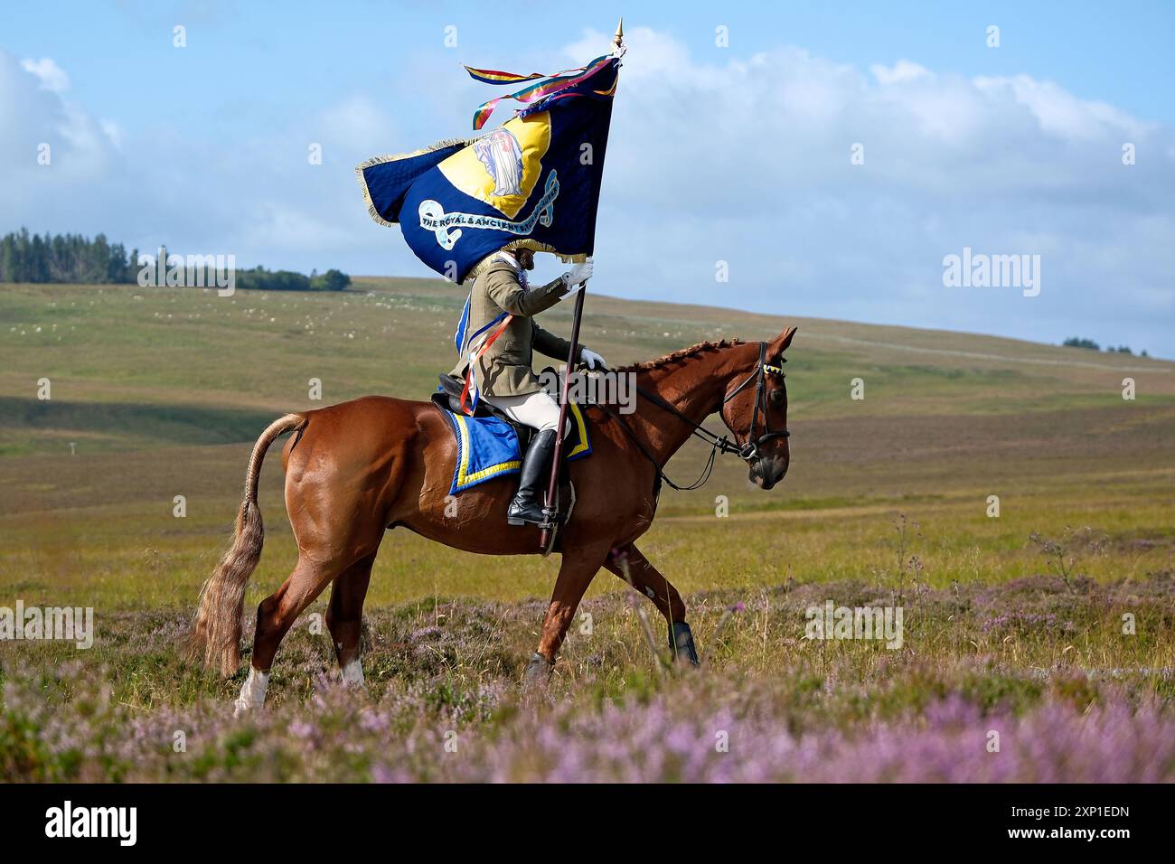 Mounted horseman riding left hi-res stock photography and images - Alamy