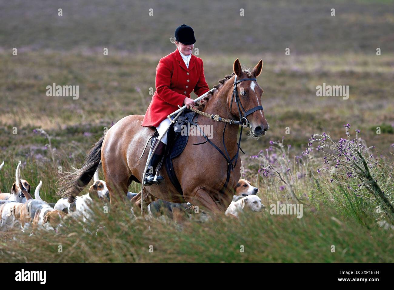 Lauder, UK. 03rd Aug, 2024. Lauder Common Riding, Lauder is one of the ...