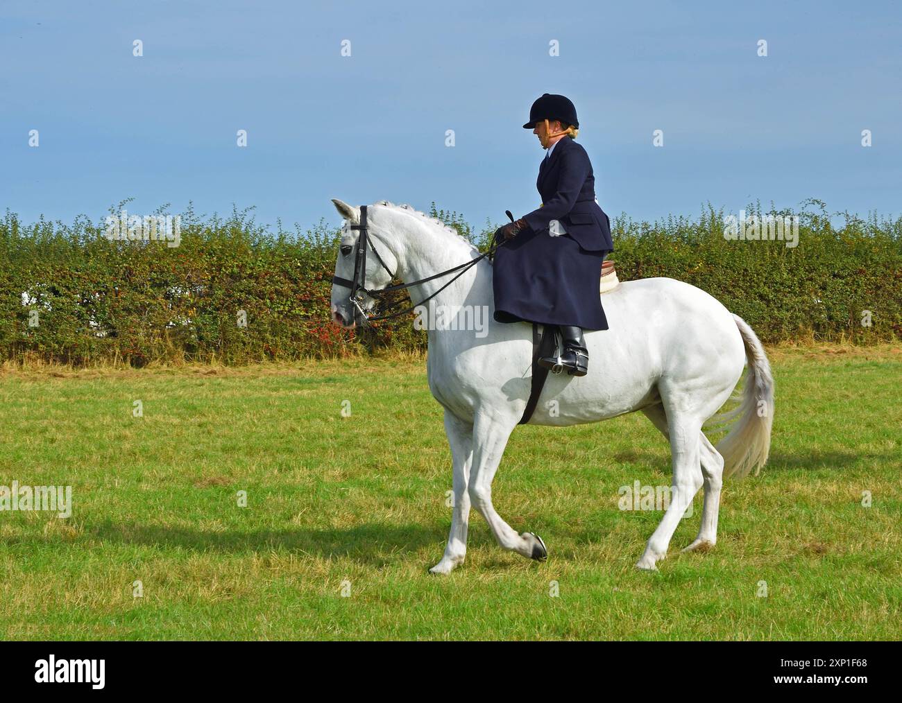 Saddle riding hi-res stock photography and images - Alamy