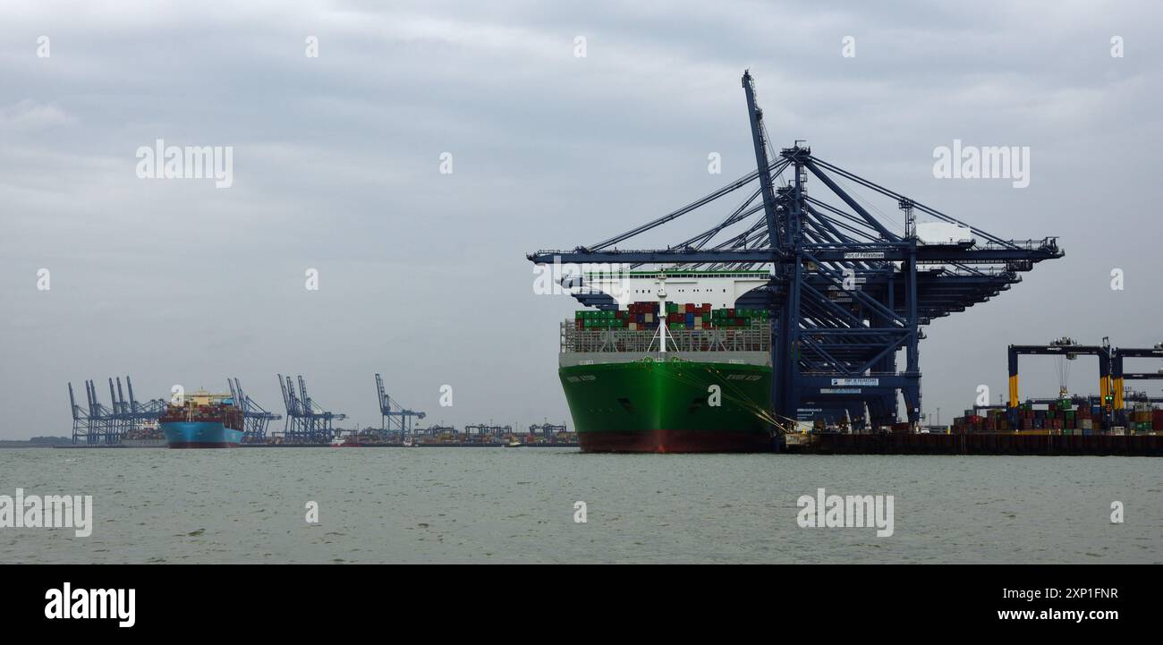 Large Container Ship "Ever Atop" being loaded - Unloaded at The Port of ...