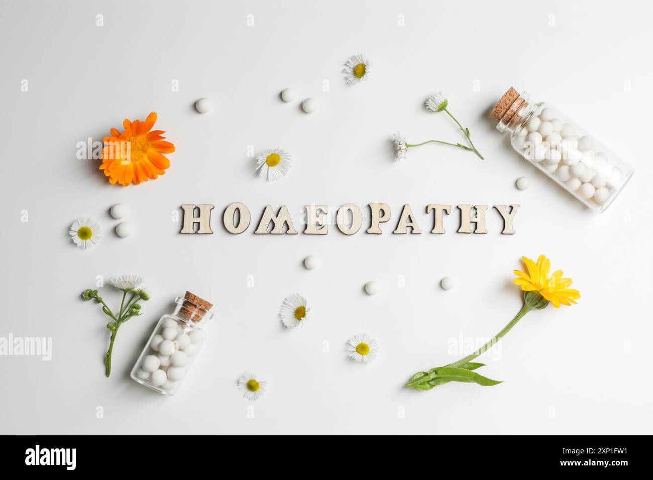 Word Homeopathy, pills and medicinal herbs on white background, flat ...