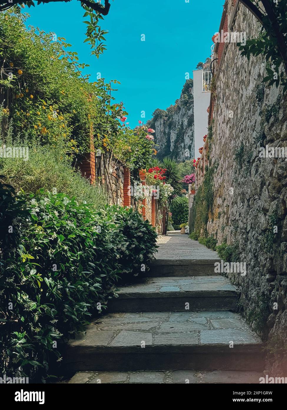 Typical mediterranean walkway with plants hi-res stock photography and ...