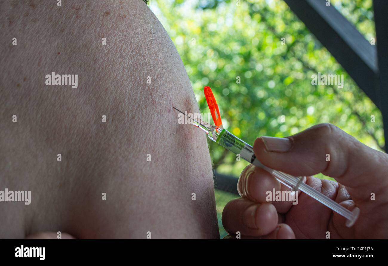 Shots, injection, syringe,hypo,hypodermic Stock Photo - Alamy