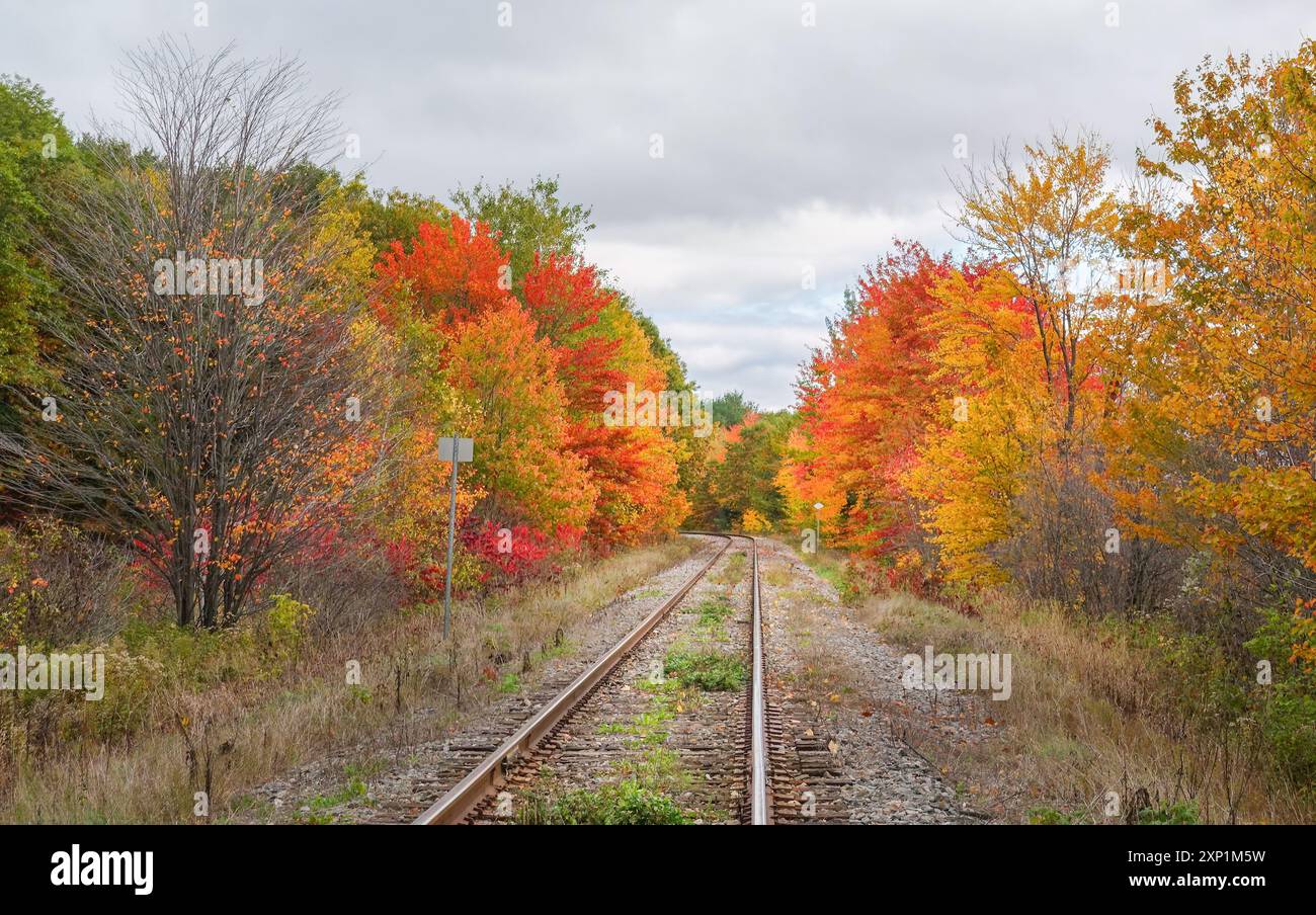 Single-track railway among autumn trees in Quebec, Canada Stock Photo ...