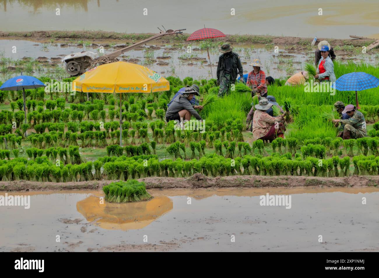 Rainy season work hi-res stock photography and images - Alamy