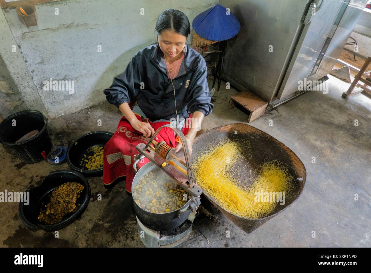 The silk making process at the Mulberry Organic Farm sericulture ...