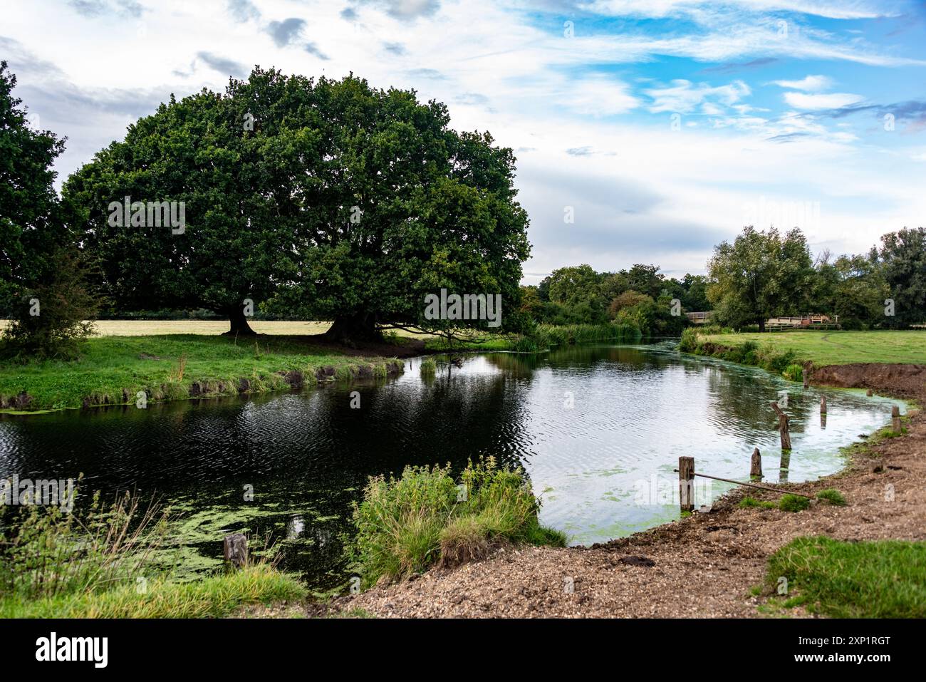 A View of the River Stour, Suffolk/Essex border Stock Photo - Alamy