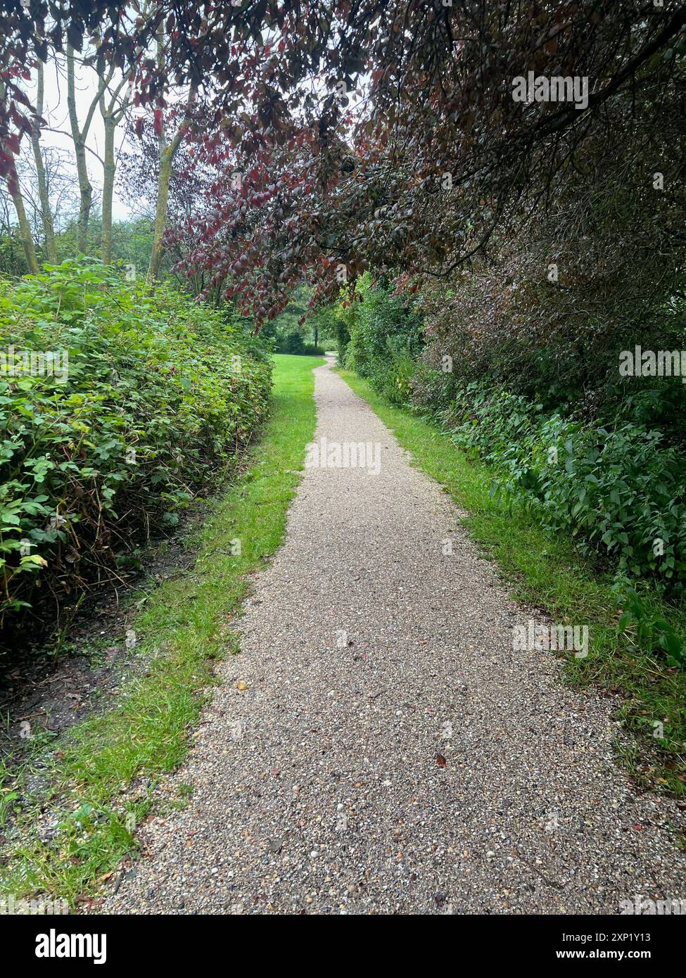 Picturesque view of beautiful park with pathway Stock Photo - Alamy