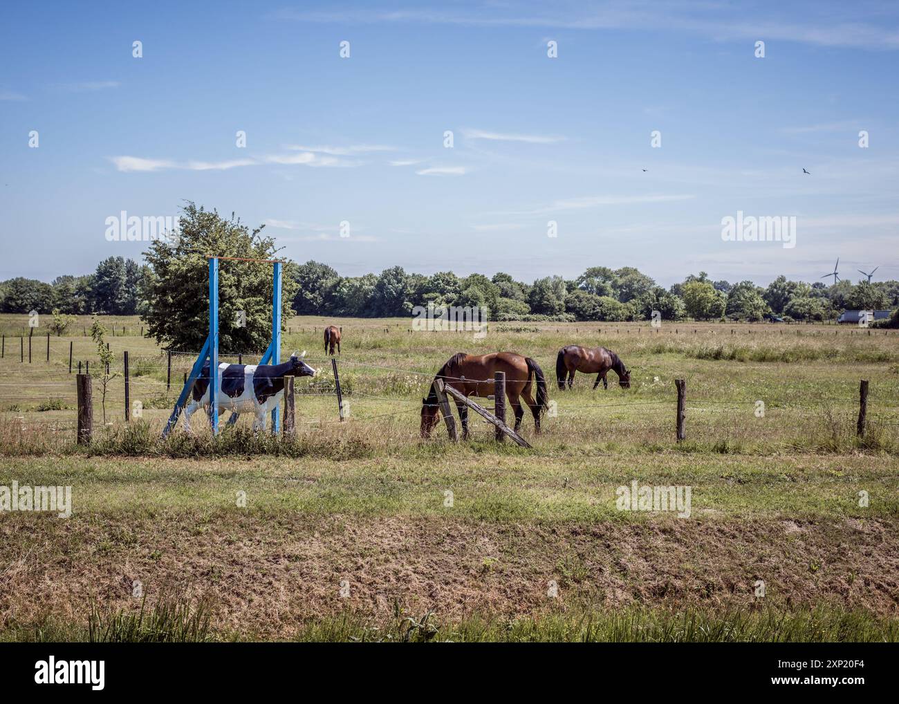 contrast between a fake cow statue and real horses grazing in a lush ...