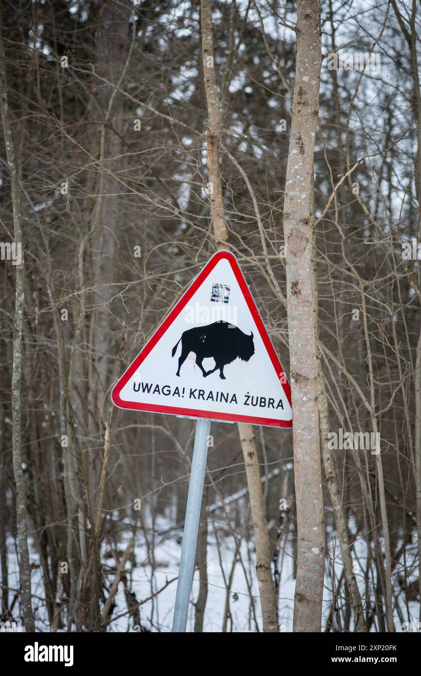 Warning sign with a bison symbol in the snow-covered forest of ...