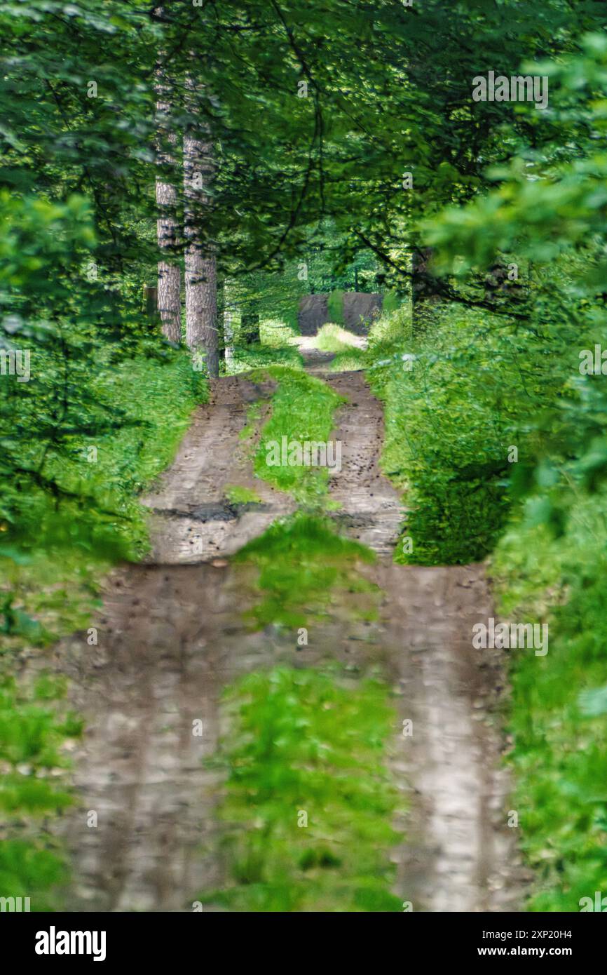 Explore beautifully scenic winding road hi-res stock photography and ...