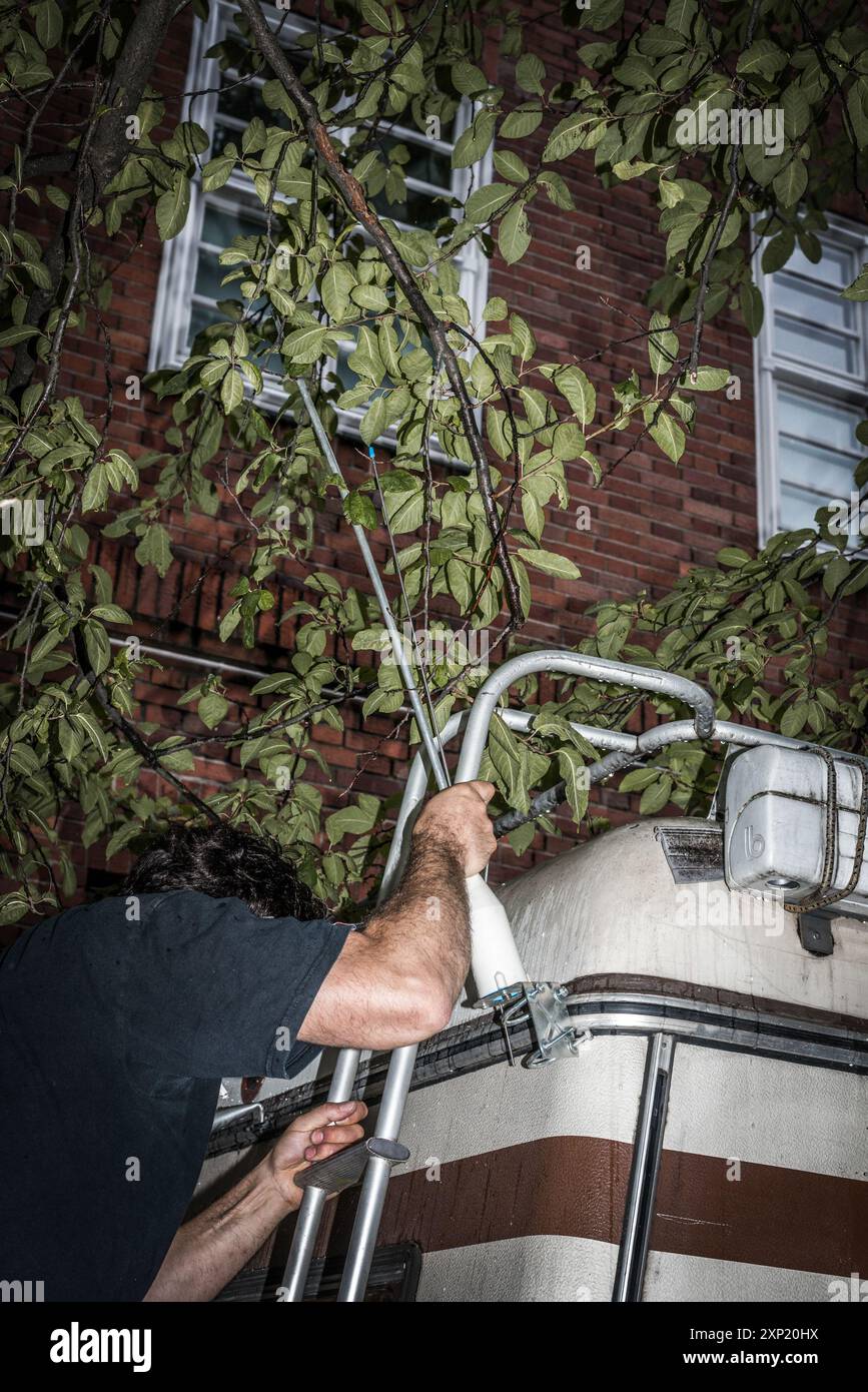 A man climbs a ladder attached to a camper near a tree, symbolizing ...