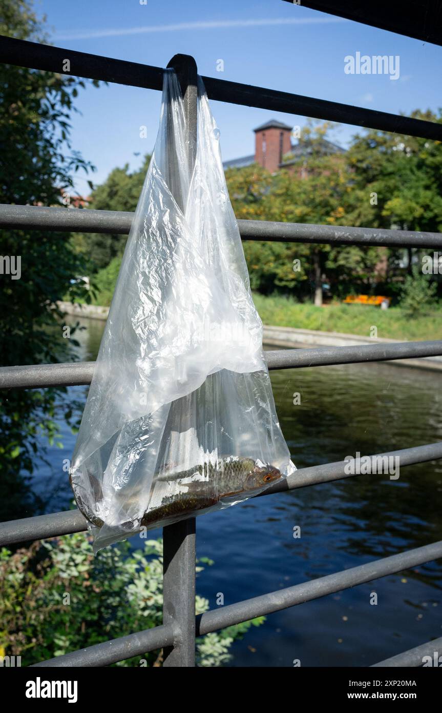 Plastic bag with dead fish hanging on a metal railing next to a river ...