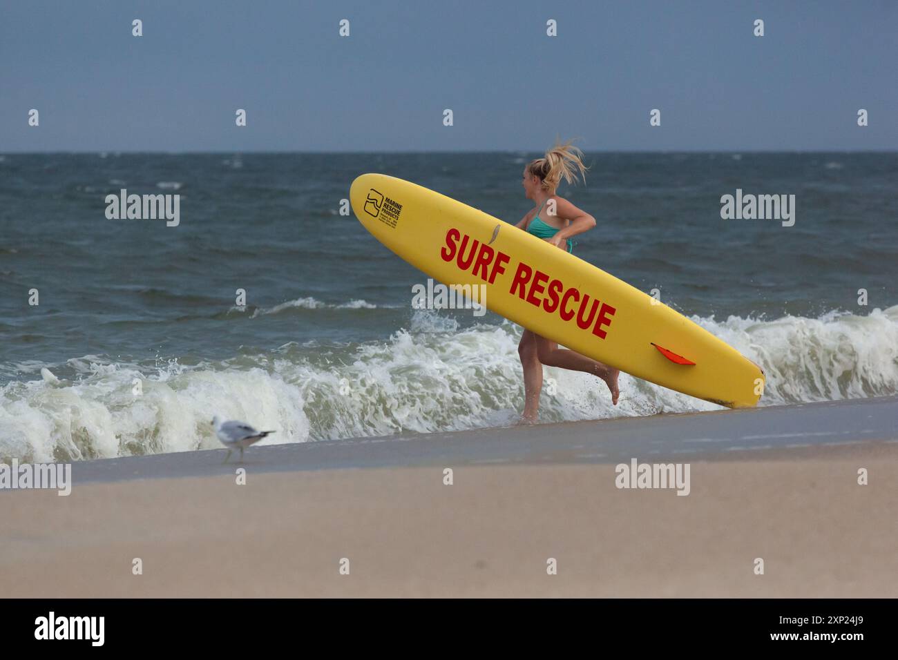 Sea Bright, New Jersey - August 3, 2017: Lifeguards from Sea Bright and ...