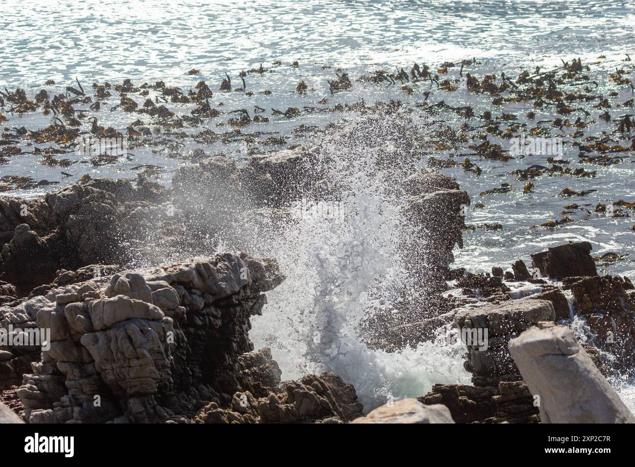 Waves breaking on a rock at Stony Point in Betty's Bay, Western Cape of ...