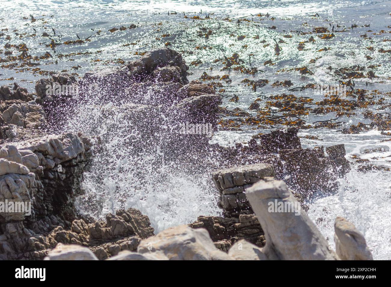 Waves breaking on a rock at Stony Point in Betty's Bay, Western Cape of ...