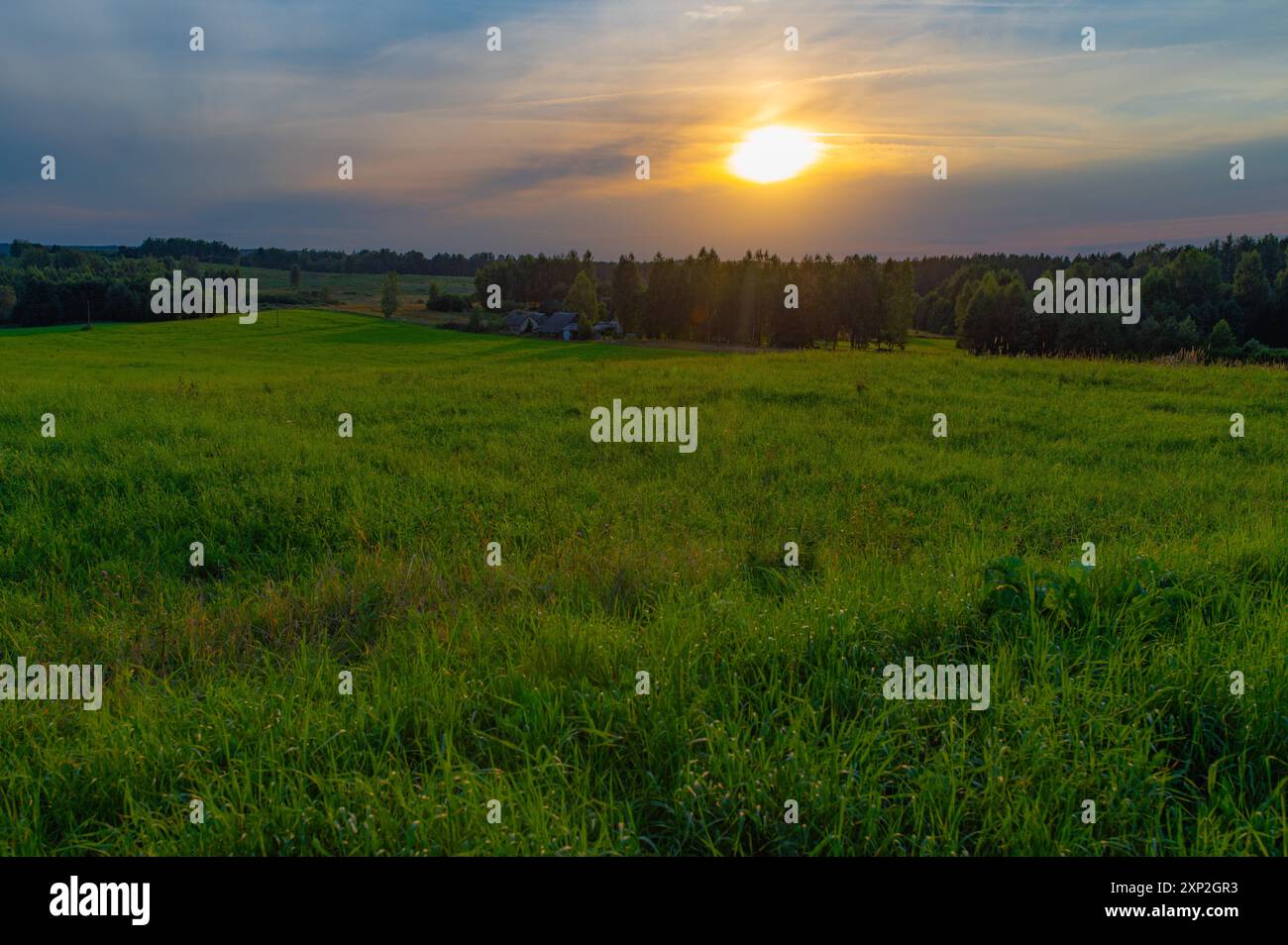 The Sabbath. National Sunset Day. Natural Green Grass Field in Sunset ...