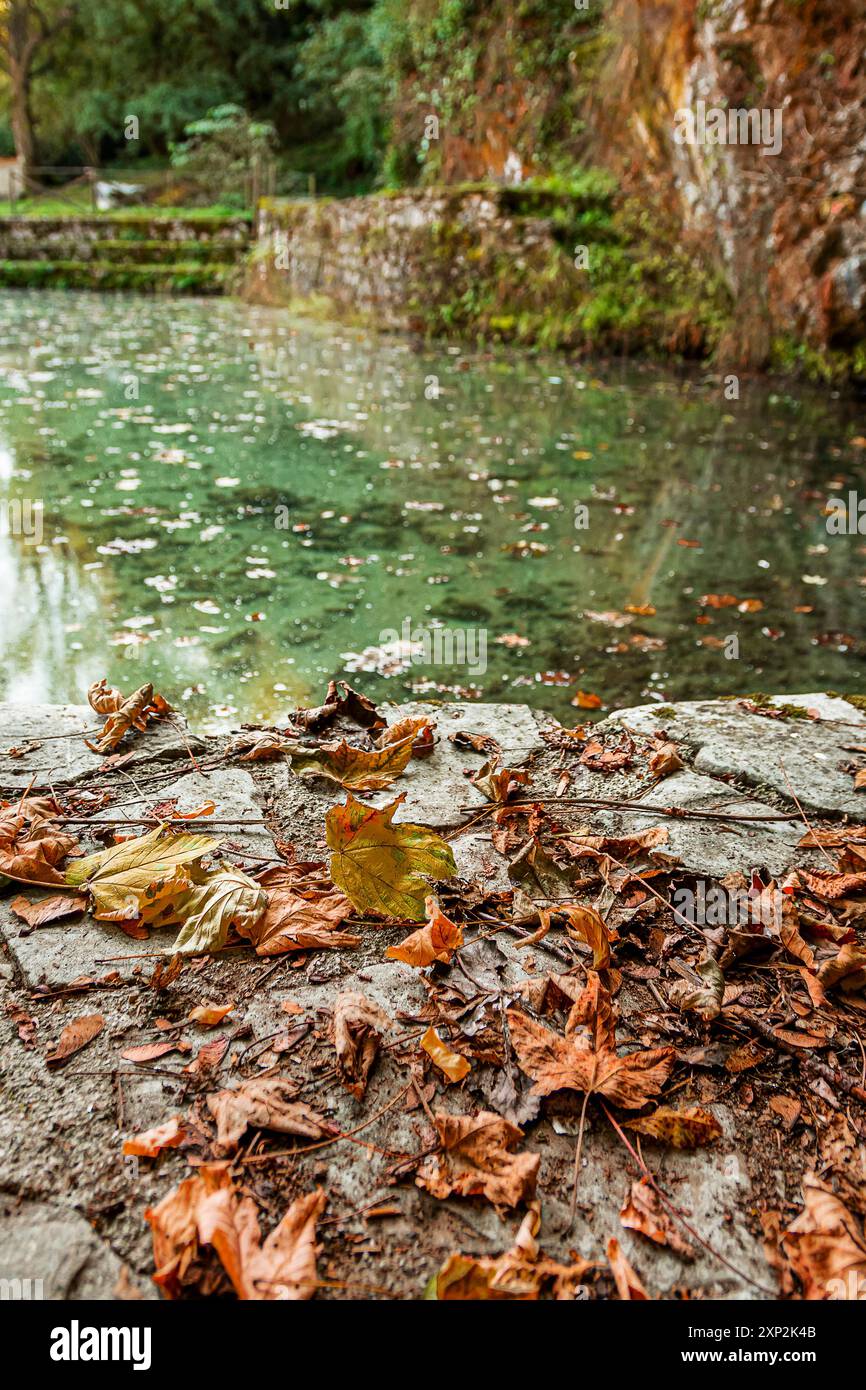 Beautiful view pond autumn hi-res stock photography and images - Alamy