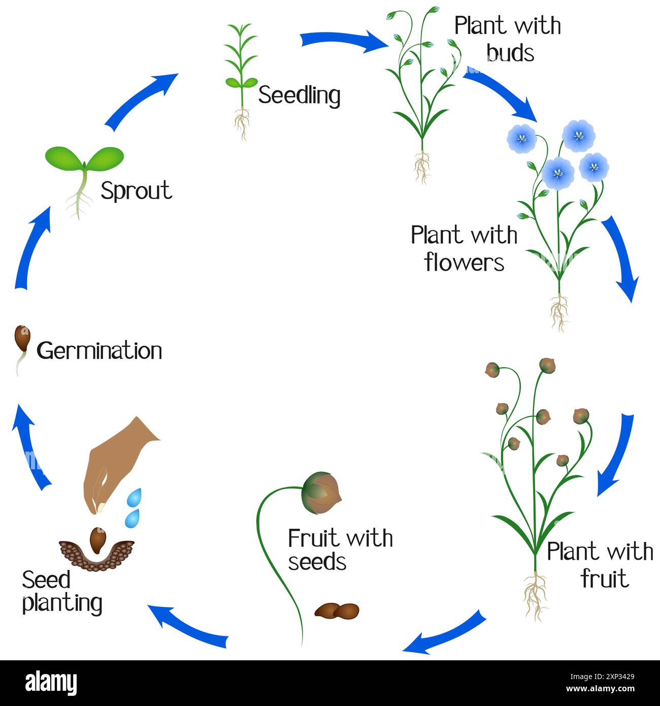 Colorful illustration with water drops on blue background Cut Out Stock ...