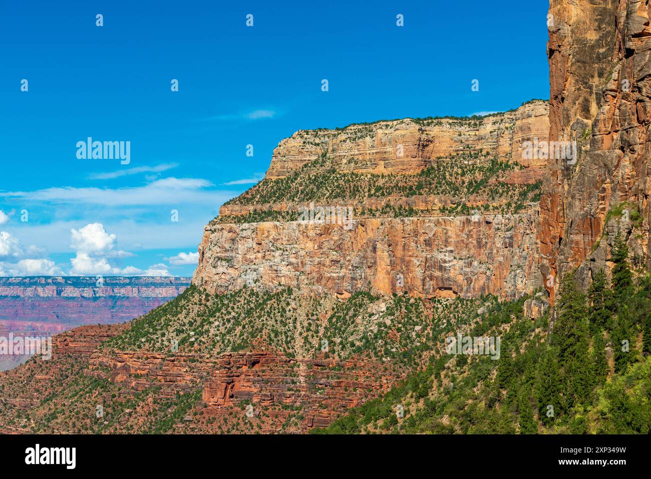 Steep cliffs along Grand Canyon South Rim, Grand Canyon national park ... Steep cliffs along Grand Canyon South Rim, Grand Canyon national park ...