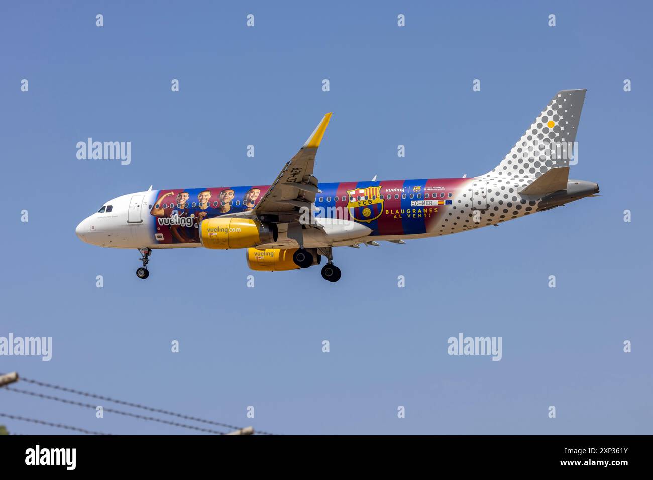 Vueling Airlines Airbus A320-232 (REG: EC-MER) in FC Barcelona Women ...