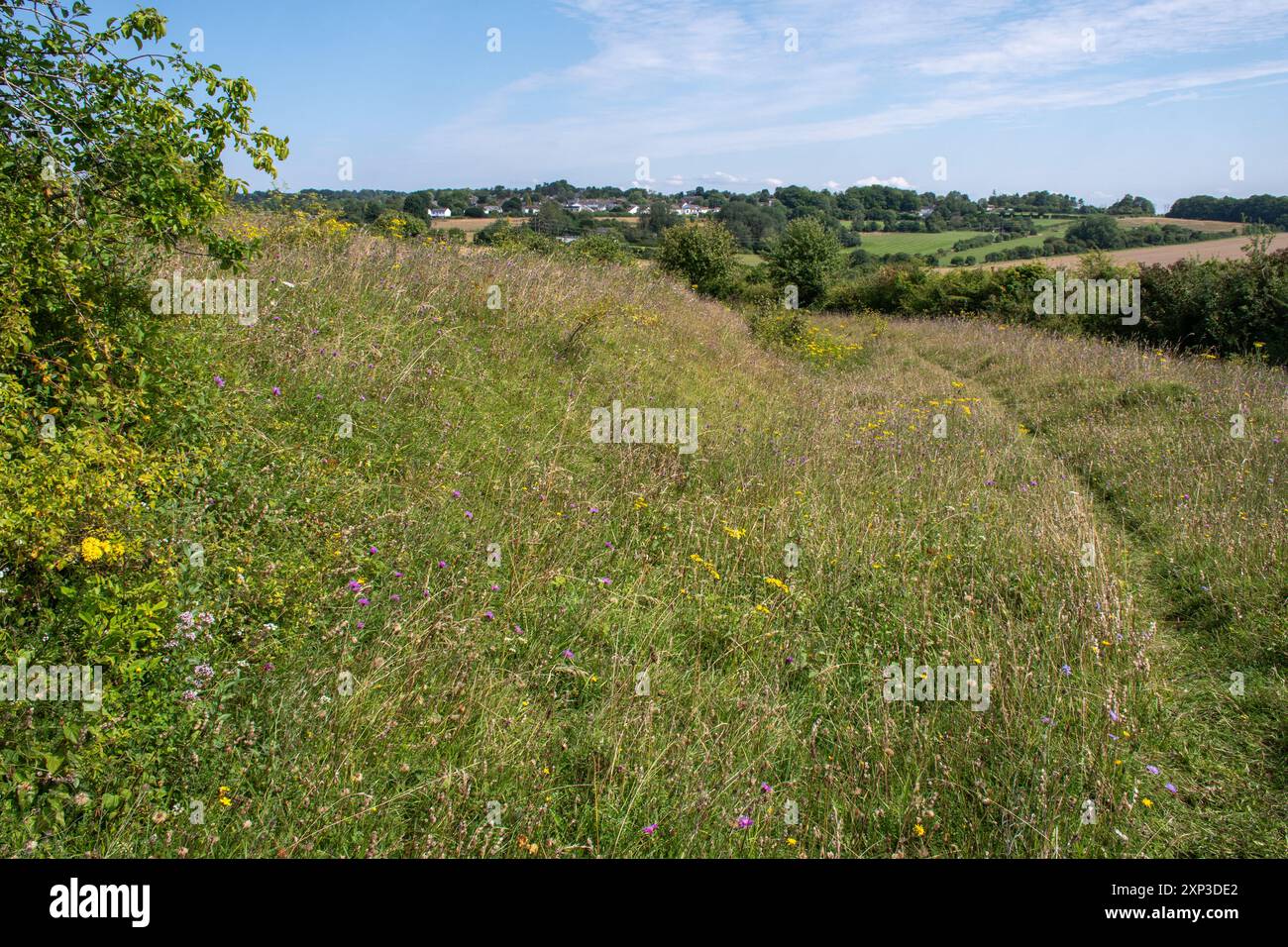 Yew hill nature reserve hi-res stock photography and images - Alamy
