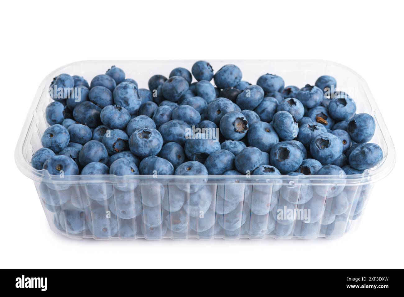 Fresh raw organic blueberries in transparent plastic container isolated ...
