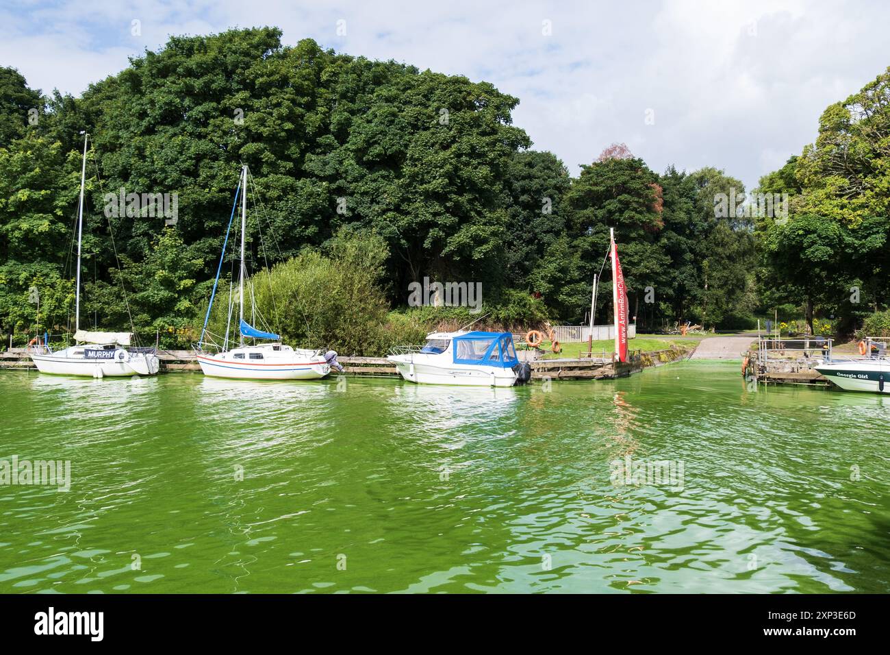 Antrim, Northern Ireland - August 3rd 2024: Vibrant toxic coloured ...
