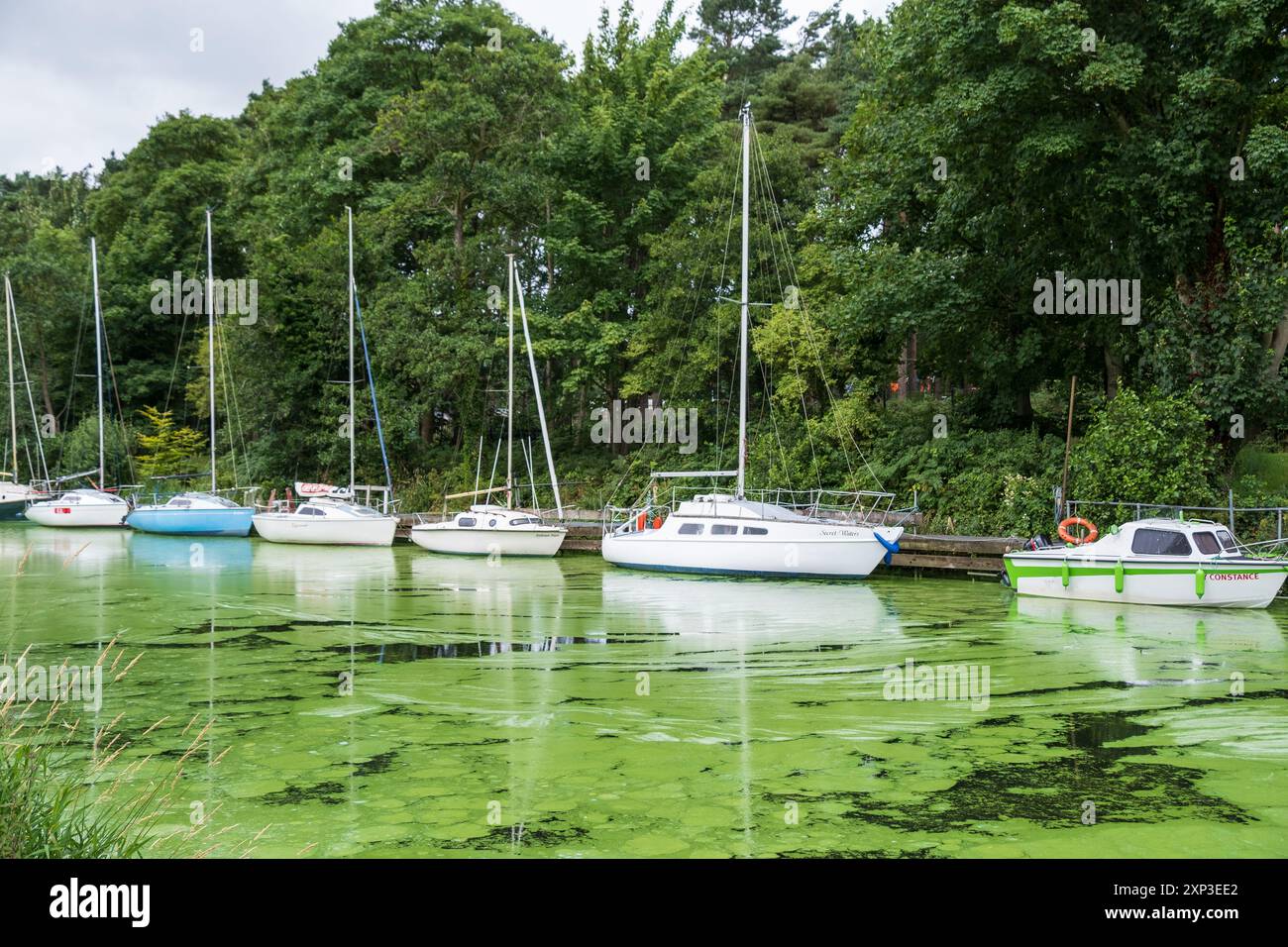 Antrim, Northern Ireland - August 3rd 2024: River at entrance to Lough ...