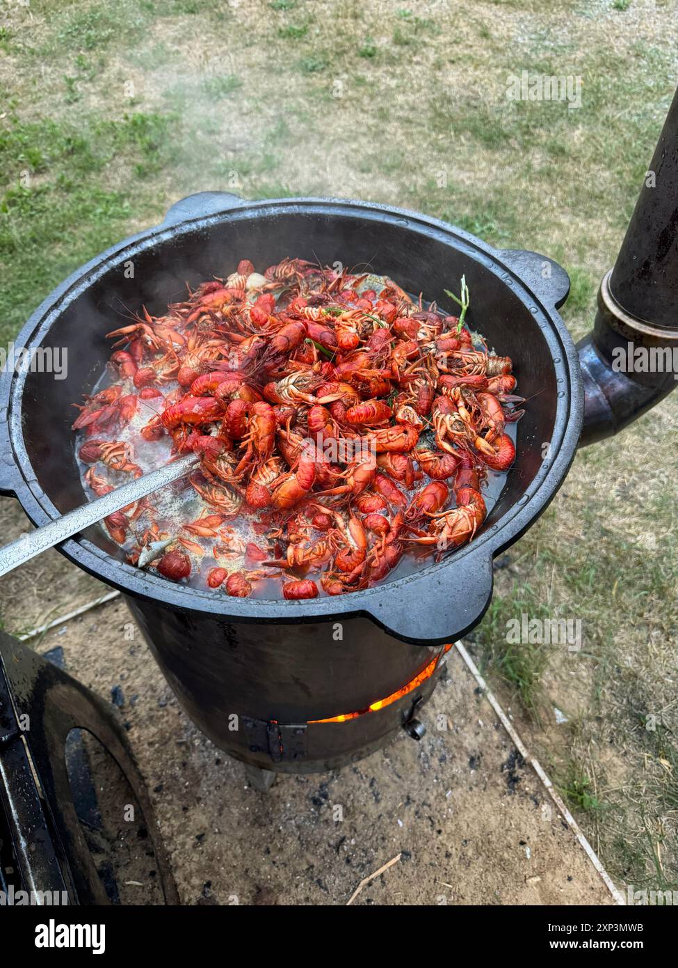 River crayfish are boiling in a cauldron over an open fire. The ...