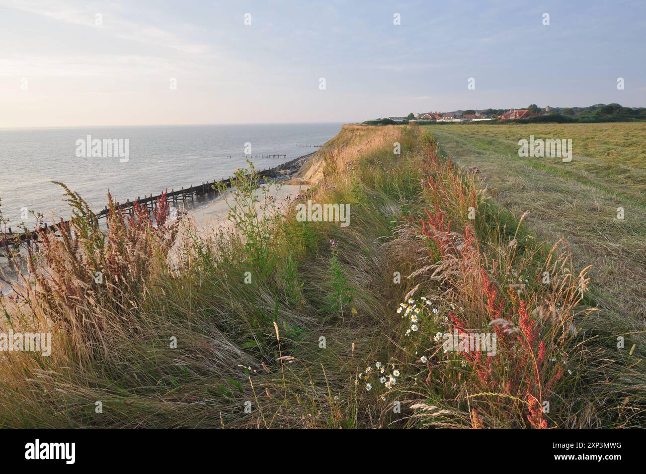 Corton cliffs hi-res stock photography and images - Alamy