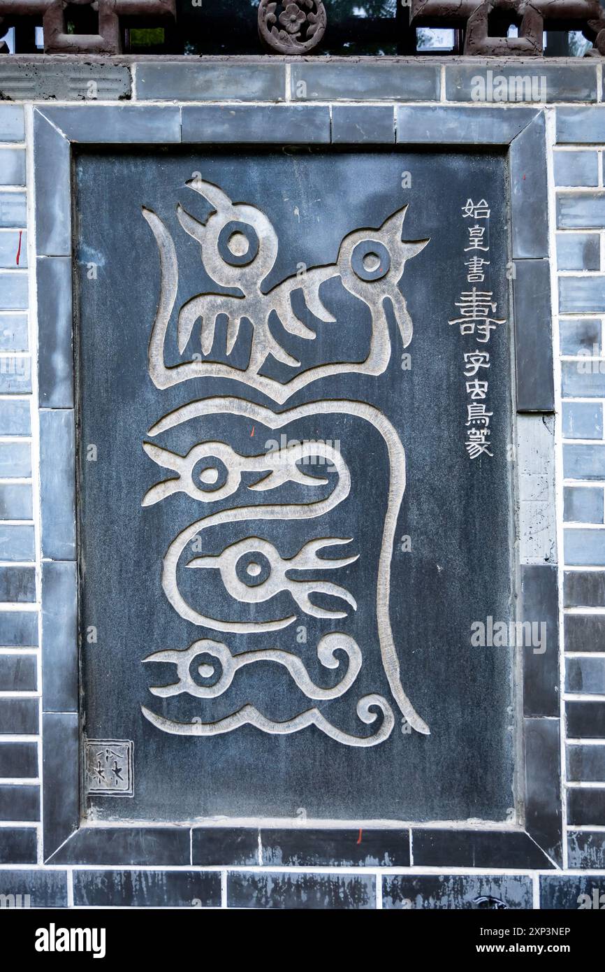 Chinese calligraphy carved in stone, character "Longevity" in ancient ...